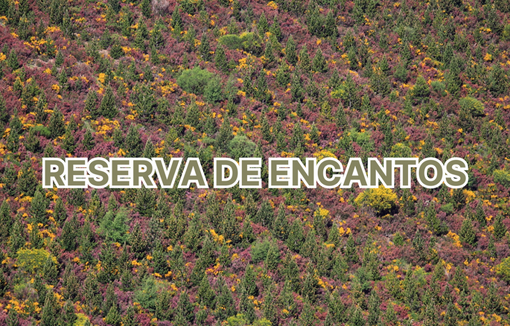 Archivo de usos de recursos naturales en la RBVOyL: una reserva de ...