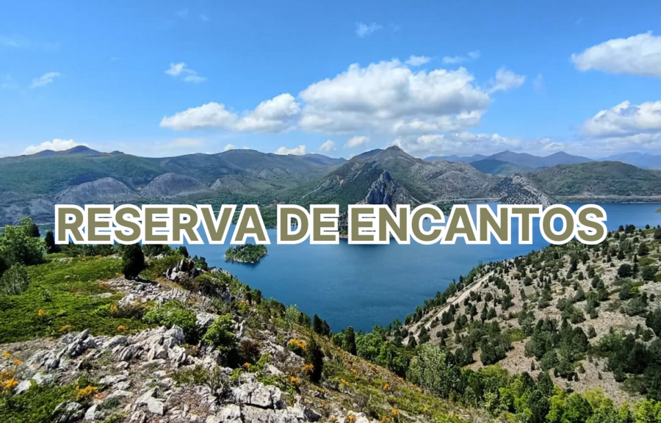 Archivo de usos de recursos naturales en la RBVOyL: una reserva de ...